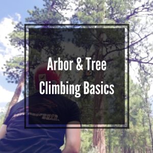 Rigging Lab Academy: Learn Rigging OnLine