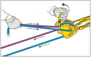 8 Defined Rescue Rigging Systems Every Team Needs | Rigging Lab Academy